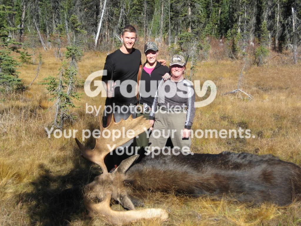 Desperation Day Moose - Pics